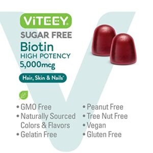 Sugar Free Biotin Gummies 5,000mcg - for Healthy Hair Growth, Healthy Skin Glow, & Strong Healthy Nail Growth for Women, Men, & Teens -Vegan, Non GMO, Gluten Free -Chewable Raspberry Flavored Gummies