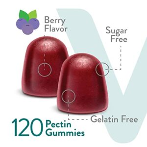 Sugar Free Biotin Gummies 5,000mcg - for Healthy Hair Growth, Healthy Skin Glow, & Strong Healthy Nail Growth for Women, Men, & Teens -Vegan, Non GMO, Gluten Free -Chewable Raspberry Flavored Gummies