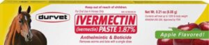 durvet ivermectin paste dewormer – 6.08g dose @ 1.87% apple flavor (1 count 6.08 gram)