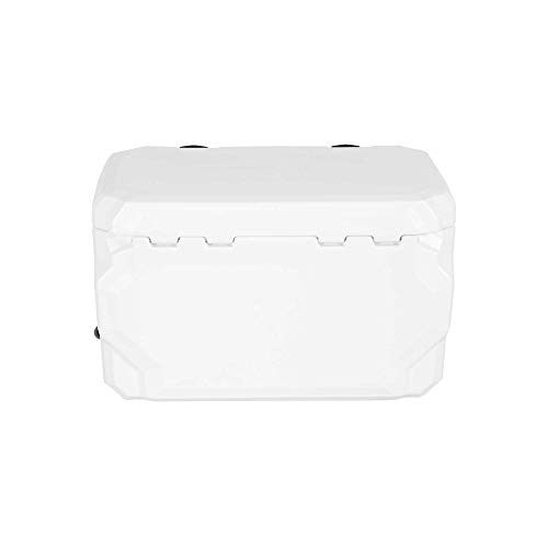 Lifetime 65 Quart High Performance Hard Cooler