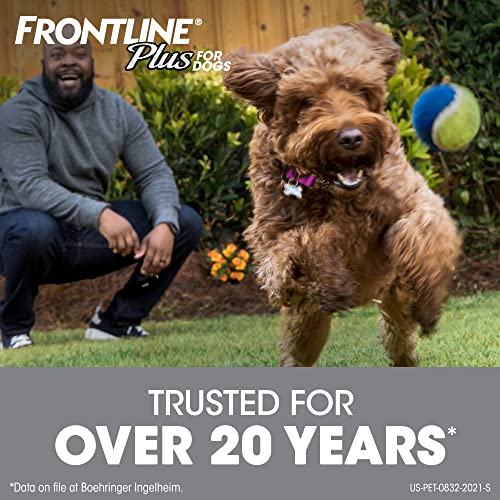 FRONTLINE Plus for Dogs Flea and Tick Treatment (Large Dog, 45-88 lbs.) 3 Doses (Purple Box)