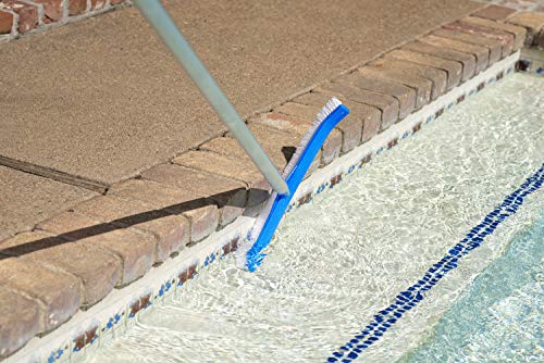 Poolmaster 18100 Curved Swimming Pool Brush Head, 17.5-Inches, Essential Collection, Blue