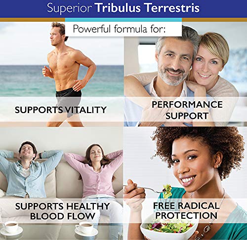 Superior Labs - Tribulus Terrestris - Performance Support & Cortisol Blocker with 45% Saponins, High Potency & Pure 1500mg Dosage, 180 Vegetable Caps - Supports Vitality - with Added BioPerine®