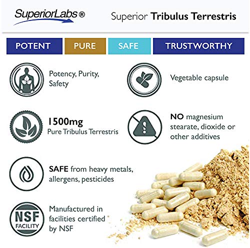 Superior Labs - Tribulus Terrestris - Performance Support & Cortisol Blocker with 45% Saponins, High Potency & Pure 1500mg Dosage, 180 Vegetable Caps - Supports Vitality - with Added BioPerine®