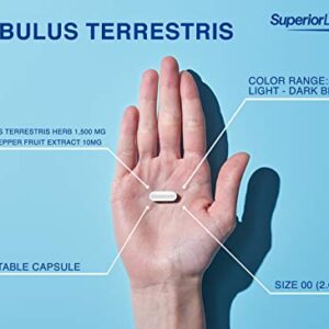 Superior Labs - Tribulus Terrestris - Performance Support & Cortisol Blocker with 45% Saponins, High Potency & Pure 1500mg Dosage, 180 Vegetable Caps - Supports Vitality - with Added BioPerine®