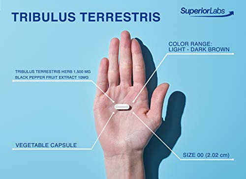 Superior Labs - Tribulus Terrestris - Performance Support & Cortisol Blocker with 45% Saponins, High Potency & Pure 1500mg Dosage, 180 Vegetable Caps - Supports Vitality - with Added BioPerine®