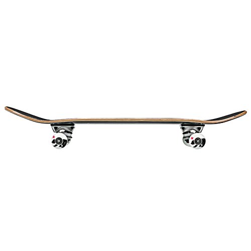 RD Deluxe Series Skateboard (Gray Cali Bear)