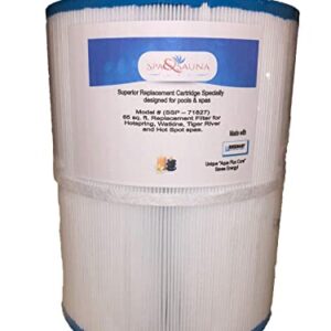 Replacement Filter Cartridge for Watkins Hot Spring, Hot Spot Series: Tempo/Rhythm/Relay Models Tiger River Spa 65 Sq Ft 31114 71827 By Spa & Sauna Parts