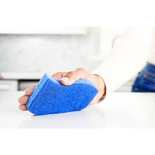 Scotch-Brite Non-Scratch Scrub Sponges, For Washing Dishes and Cleaning Kitchen, 9 Scrub Sponges