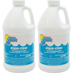 in the swim algae-clear 2 x 1/2 gallon f051001002ae