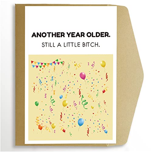 Cheeky Brother Birthday Card, Sister Birthday Card, Birthday Card for Sibling, Still A Little Bitch