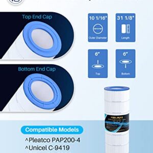 POOLPURE PAP200 Pool Filter Replaces Pentair CC200, Unicel C-9419, Filbur FC-0688, R173217, 59054400, Aladdin 29902, Baleen AK-8005, Pure N Clean PC-0688, 200 sq.ft Filter Cartridge 1 Pack