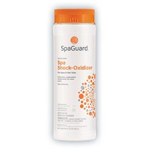 spaguard spa shock-oxidizer (35 oz) (1)