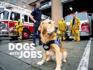 dogs with jobs