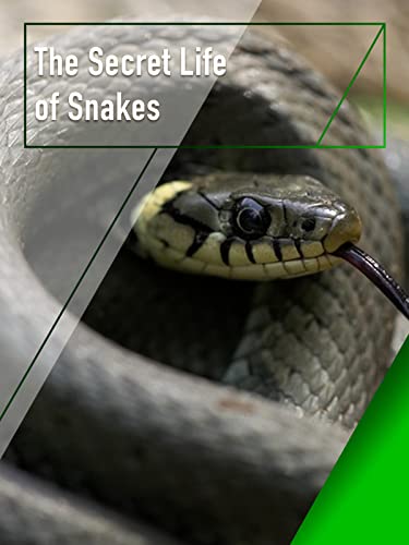 The Secret Life of Snakes