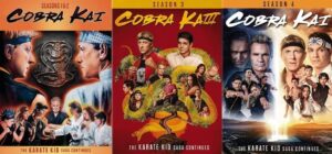 cobra kai – season 1 2 3 & 4 [dvd 3-pack]