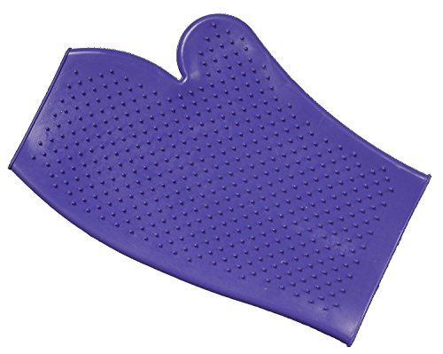 JT International Tough 1 Rubber Grooming Gloves, Purple