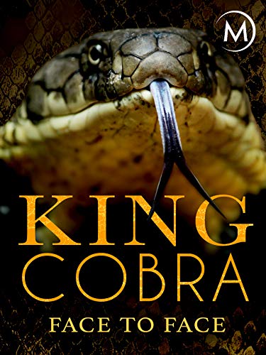 King Cobra: Face to Face