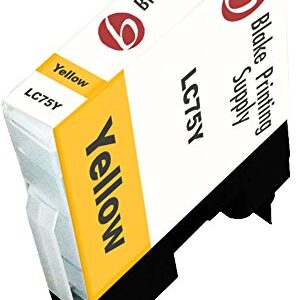 22 Pack Blake Printing Supply LC75 High Yield Ink Cartridges for Brother MFC-J280W MFC-J430W MFC-J435W MFC-J5910DW MFC-J625W MFC-J6510DW MFC-J6710DW MFC-J6910DW MFC-J825DW MFC-J835DW