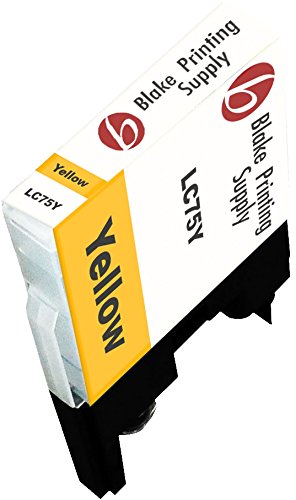 22 Pack Blake Printing Supply LC75 High Yield Ink Cartridges for Brother MFC-J280W MFC-J430W MFC-J435W MFC-J5910DW MFC-J625W MFC-J6510DW MFC-J6710DW MFC-J6910DW MFC-J825DW MFC-J835DW