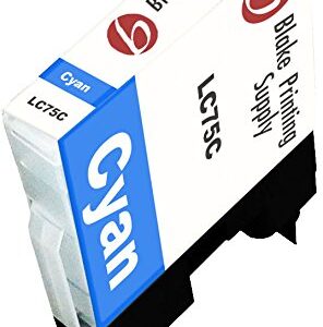 22 Pack Blake Printing Supply LC75 High Yield Ink Cartridges for Brother MFC-J280W MFC-J430W MFC-J435W MFC-J5910DW MFC-J625W MFC-J6510DW MFC-J6710DW MFC-J6910DW MFC-J825DW MFC-J835DW