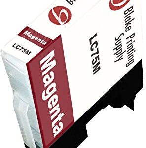 22 Pack Blake Printing Supply LC75 High Yield Ink Cartridges for Brother MFC-J280W MFC-J430W MFC-J435W MFC-J5910DW MFC-J625W MFC-J6510DW MFC-J6710DW MFC-J6910DW MFC-J825DW MFC-J835DW