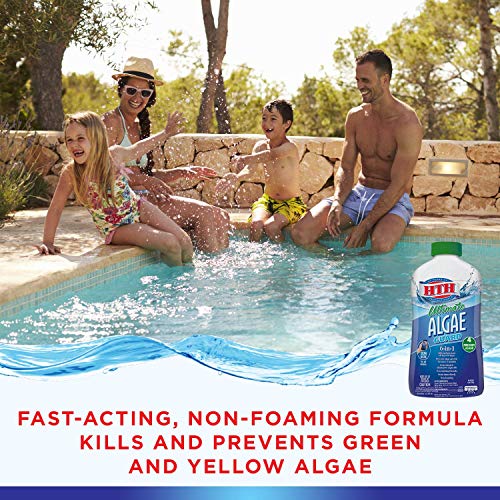 HTH 67033 Ultimate Algae Guard Swimming Pool Algaecide Cleanser, 1 qt