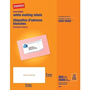 Staples 489565 Laser/Inkjet Shipping Labels 2-Inch X 4-Inch White 10 Labels/Sheet