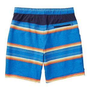 Speedo Mens Hydro Volley Swim Shorts (Speedo Blue Stripe, X-Large 36/38)