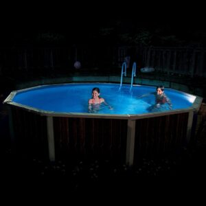 pentair aqua luminator above ground pool light with fountain