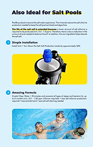 Pool RX 102001 6 Month Swimming Pool Algaecide Replacement, Single Unit, Blue