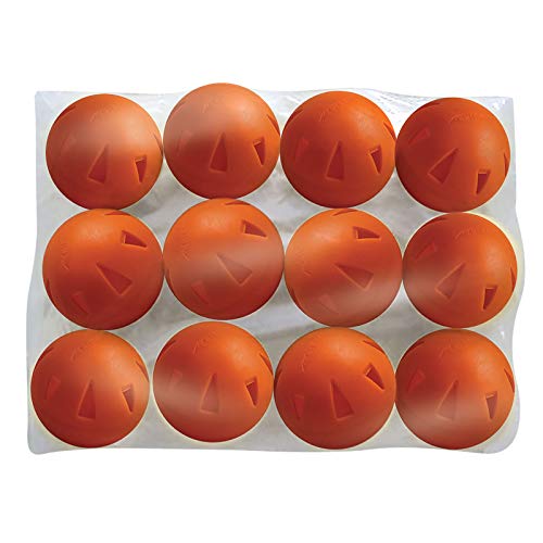 CHAMPRO 9" Brute Poly Ball - Bulk, Dozen (12)