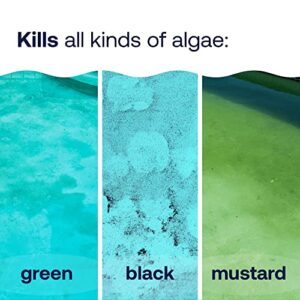 HTH Pool Care Algae Guard Ultra, Swimming Pool Chemical Kills & Prevents All Algae, Long Lasting Formula, 32 fl oz