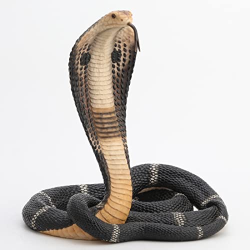 Veronese Design Coiled and Rearing King Cobra Sculptured Statue