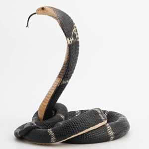 Veronese Design Coiled and Rearing King Cobra Sculptured Statue