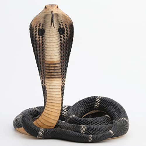 Veronese Design Coiled and Rearing King Cobra Sculptured Statue