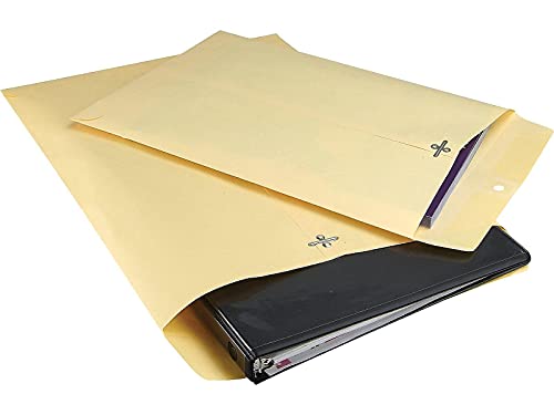 Staples 122150 Clasp Extra-Heavyweight Envelopes 12-Inch X 15-1/2-Inch Manila 100/Bx