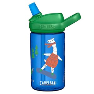 eddy+ kids bpa-free water bottle with straw, 14oz, sweater shedders