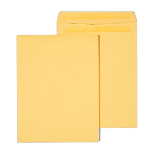 Staples 486933 Self Seal Catalog Envelopes 10-Inch L X 13-Inch H Brown 250/Bx (486933/14247)