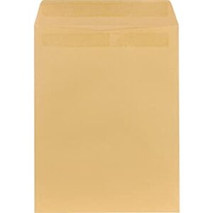 Staples 486933 Self Seal Catalog Envelopes 10-Inch L X 13-Inch H Brown 250/Bx (486933/14247)