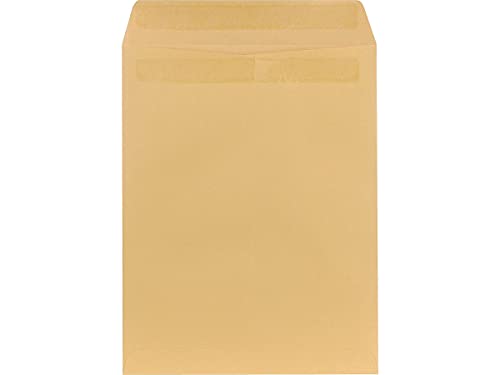 Staples 486933 Self Seal Catalog Envelopes 10-Inch L X 13-Inch H Brown 250/Bx (486933/14247)