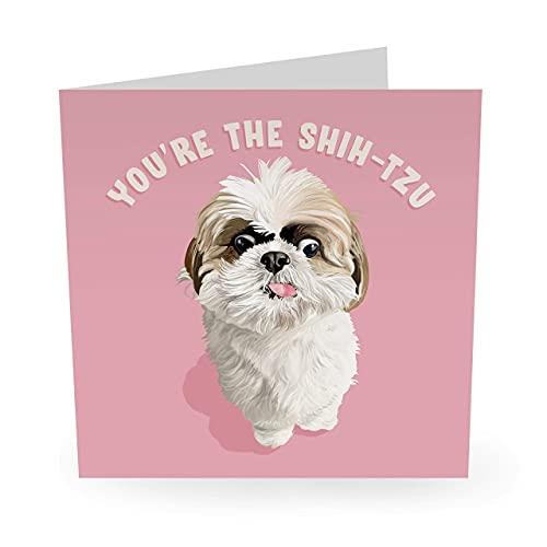 Central 23 - Cute Animal Birthday Card - “You’re The Shih-Tzu”- For Men & Women - Mom Dad Husband Wife Brother Sister Cute Cards - Comes with Fun Stickers