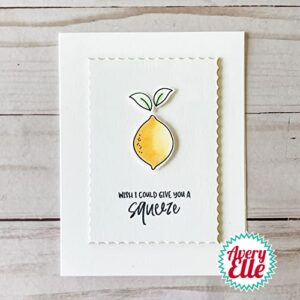 Avery Elle Clear Stamp Set 4"X6"-Be Zesty -AE2221