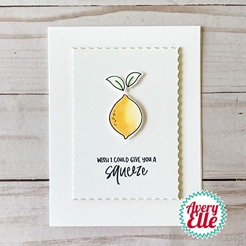 Avery Elle Clear Stamp Set 4"X6"-Be Zesty -AE2221