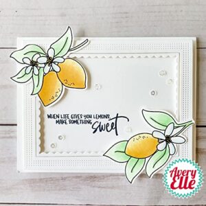 Avery Elle Clear Stamp Set 4"X6"-Be Zesty -AE2221