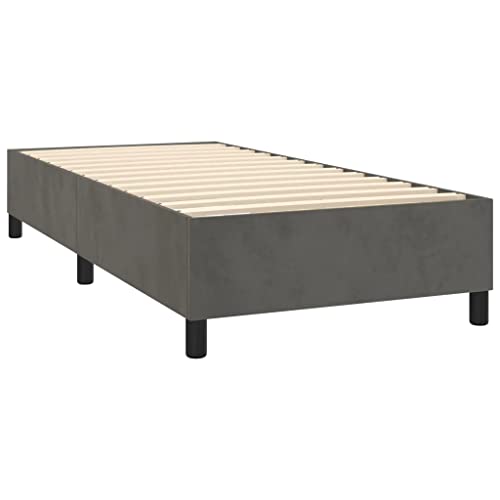 vidaXL Box Spring Bed Frame Home Indoor Bed Accessory Bedroom Upholstered Single Bed Base Furniture Dark Gray 39.4"x79.9" Twin XL Velvet