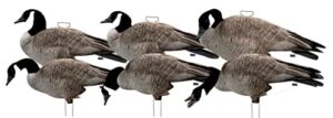 avery pg silhouette decoys-canada goose 77004