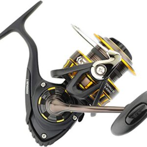 Daiwa BG3500 BG Saltwater Spinning Reel, Black/gold