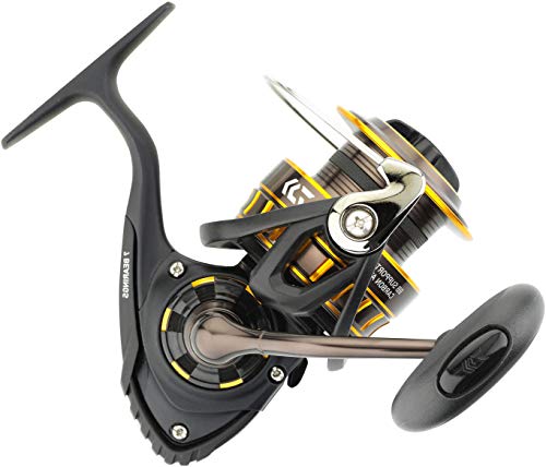 Daiwa BG3500 BG Saltwater Spinning Reel, Black/gold