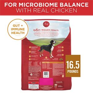 Purina ONE Chicken and Rice Formula Dry Dog Food - 16.5 lb. Bag